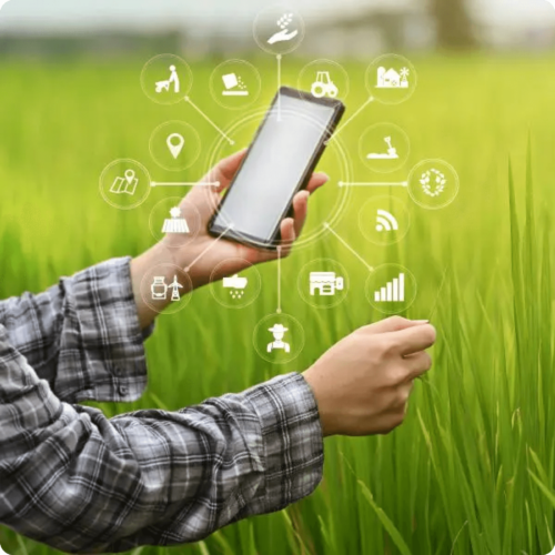 Agriculture Industry - Codeplateau Technology Solutions