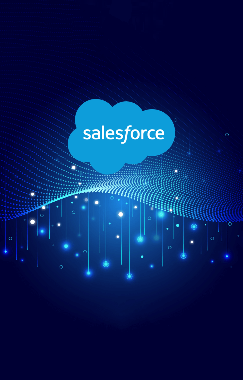 Salesforce Development Company In Pune